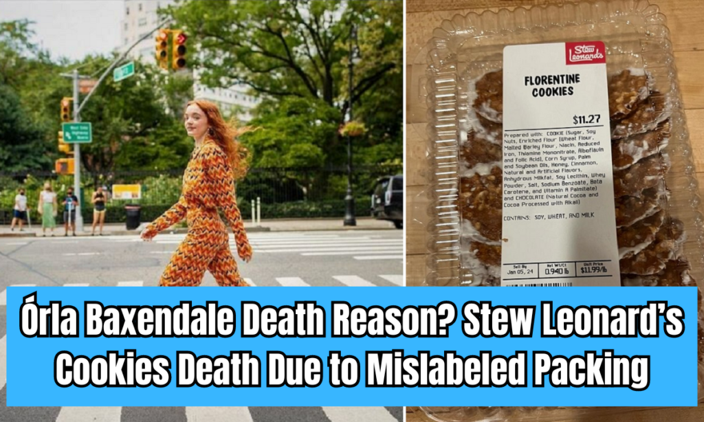 Órla Baxendale Death Reason? Stew Leonard’s Cookies Death Due to ...